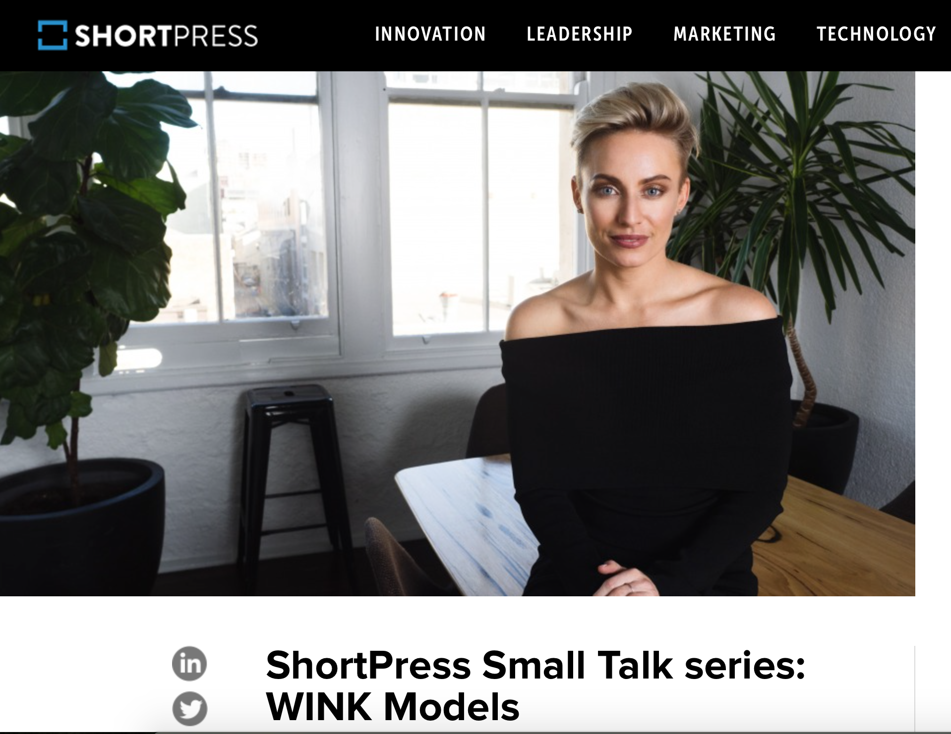 Small Talk series: WINK Models - WINK Models