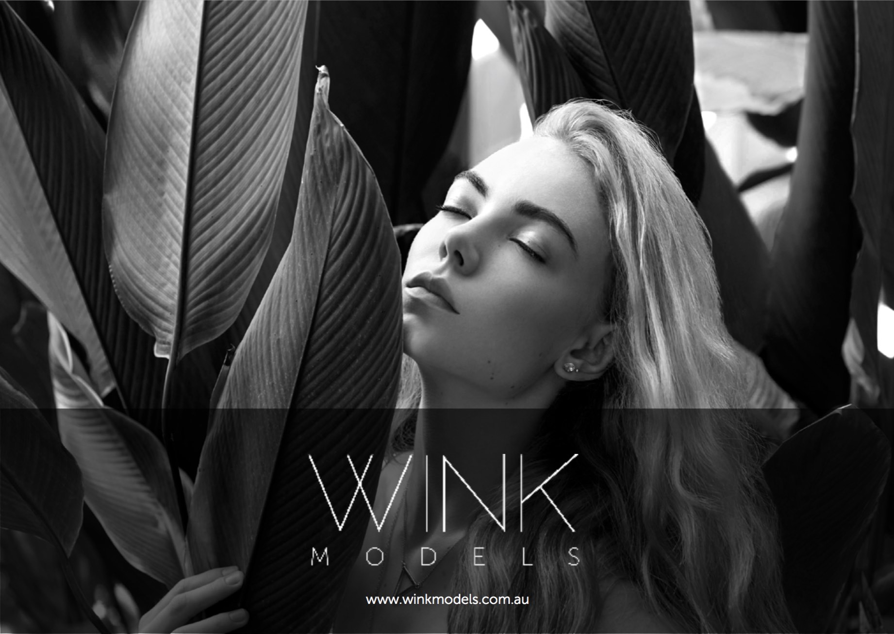 What is WINK all about? - WINK Models
